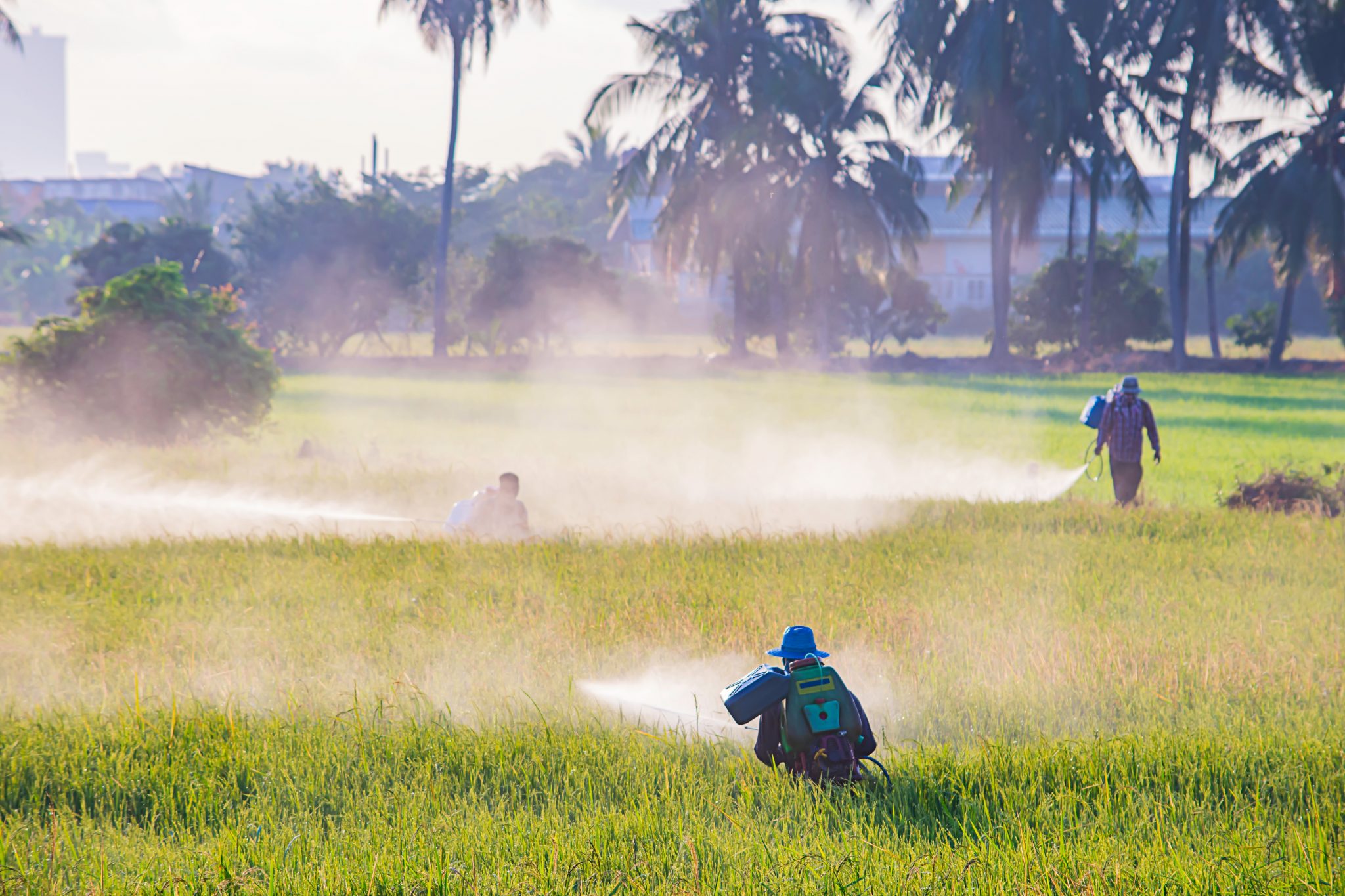 Paraquat Lawsuit: Top 10 Questions Answered | Legal Giant Paraquat Lawsuit: Top 10 Questions Answered | Legal Giant